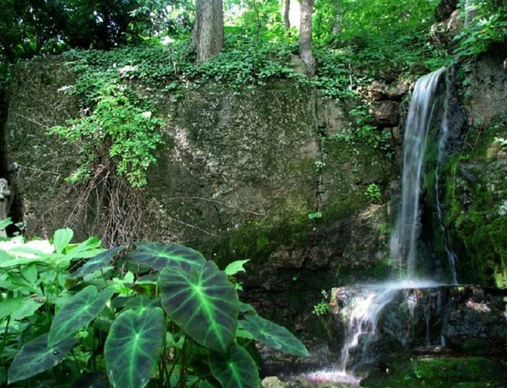 Chestnut Mountain Alpine Slide, Zip Line, River Cruises & More