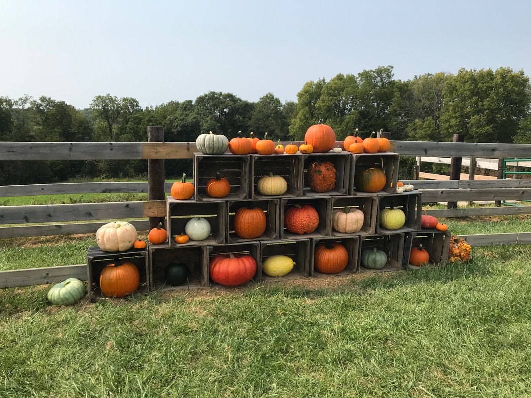 Fall Harvest Activities Around Galena, IL - Hawk Valley Retreat and ...